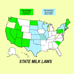Should You Drink Raw Jersey Cow Milk? – Jersey Milk Cow