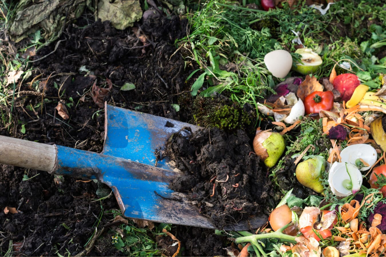 The Complete Guide on How to Compost – Jersey Milk Cow